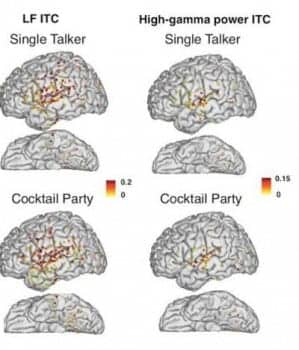 Research: Solving the “Cocktail Party Problem” | The Hearing Review