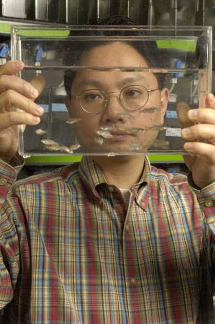 New Insights into Protective Mechanisms for Major Forms of Hearing Loss ...