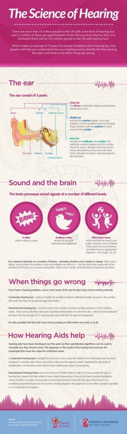 "Science of Hearing" Infographic Provides Hearing Education | The ...