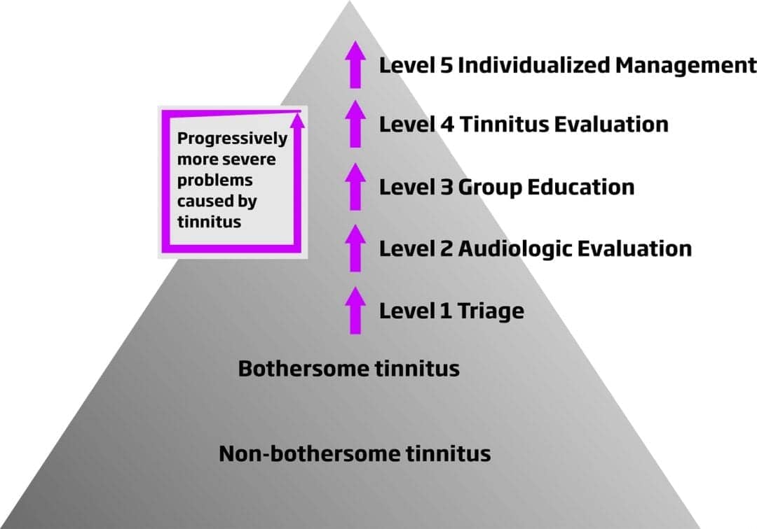 Tinnitus SoundSupport: A Flexible Solution for Both Patients and ...