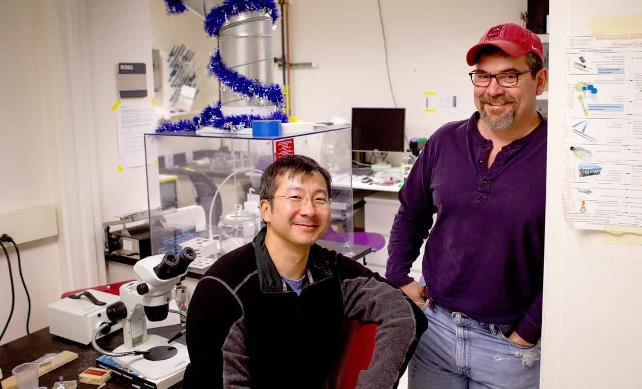 Purifying Gentamicin Could Reduce Hearing Loss Risk | The Hearing Review