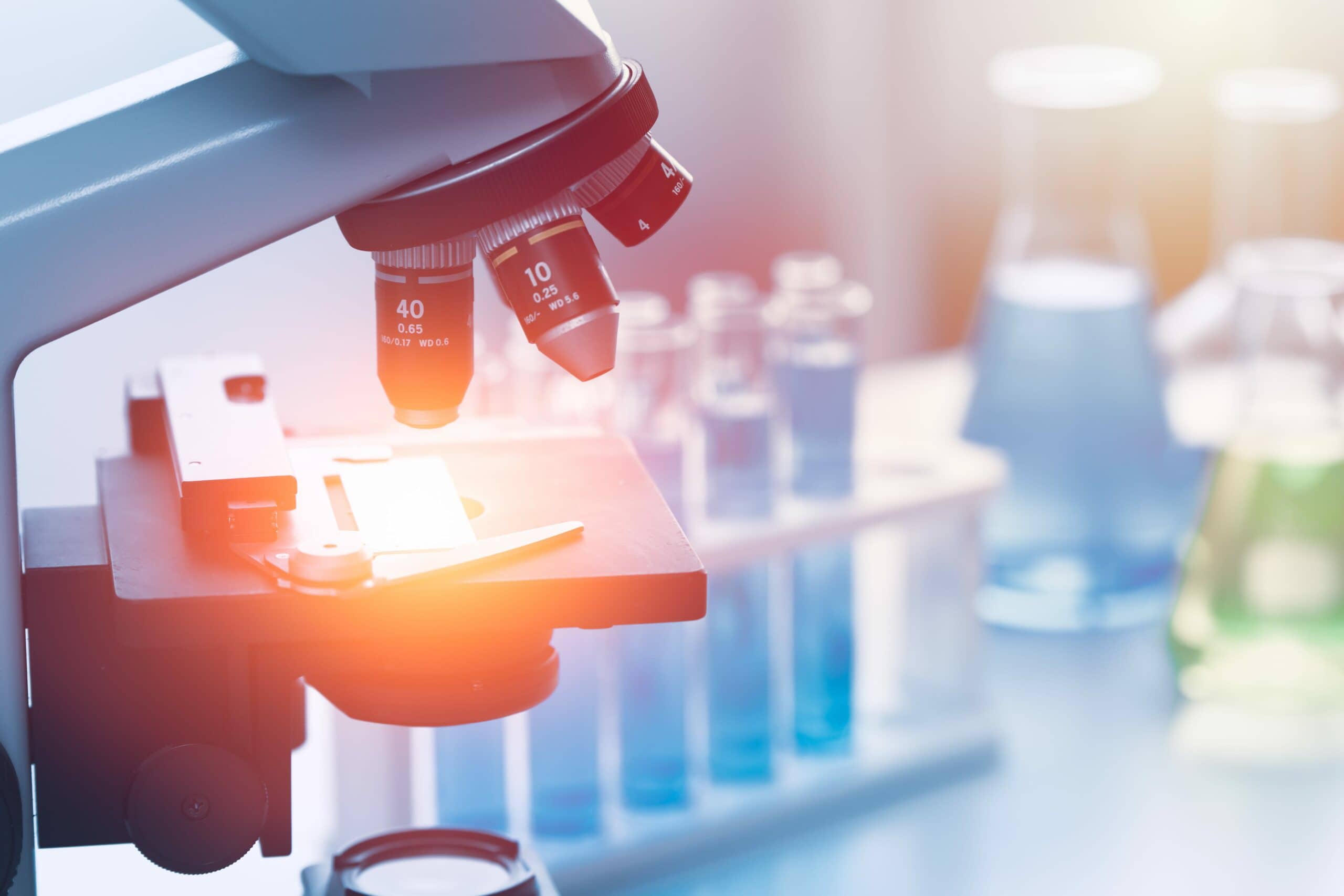 Researchers Suggest Cell Regrowth is Possible