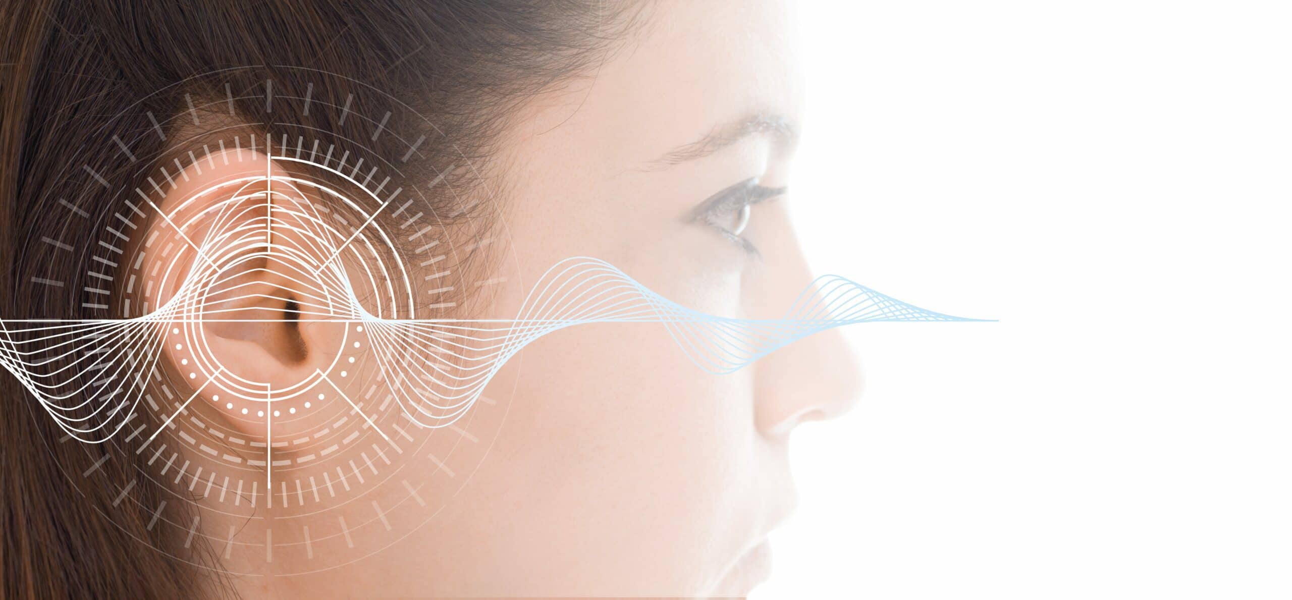 Researchers Develop Method for Mapping the Auditory Pathway | The ... Researchers Develop Method for Mapping the Auditory Pathway | The ...